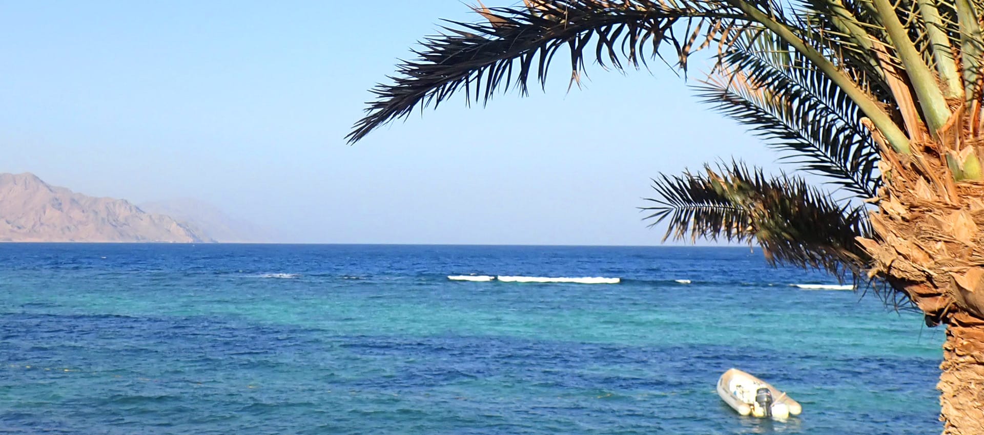 Dahab - Nancy IDC
